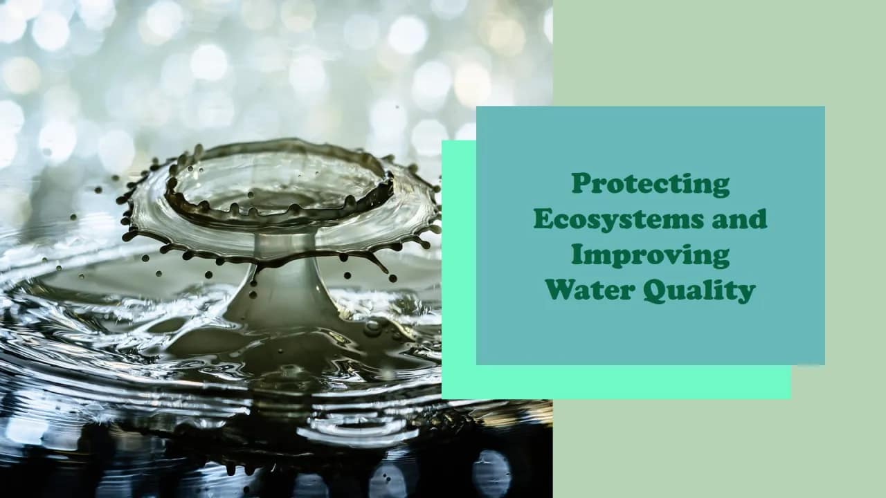 Coastal Water Management and Nature-Based Solutions: Protecting ...
